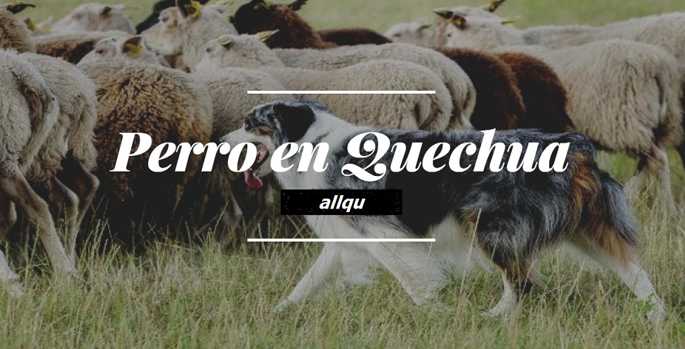 EL PERRO EN LA CULTURA ANDINA | saeeg.org